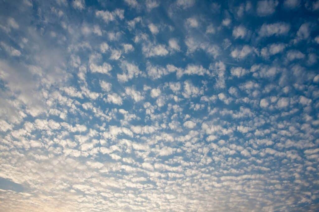 Altocumulus : définition, formation, types et signification des nuages ...