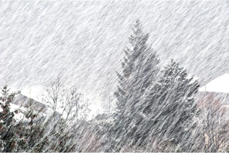 Tempête de neige : définition, types et dangers - Info Utiles