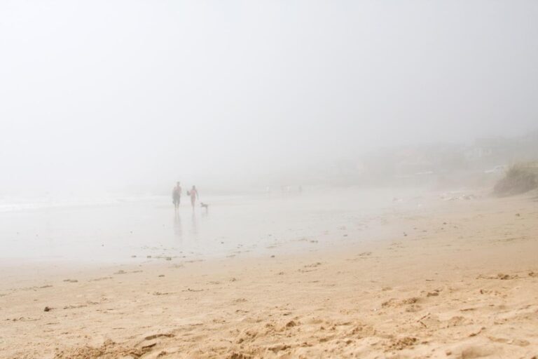 Brume : définition et mécanismes de formation - Info Utiles
