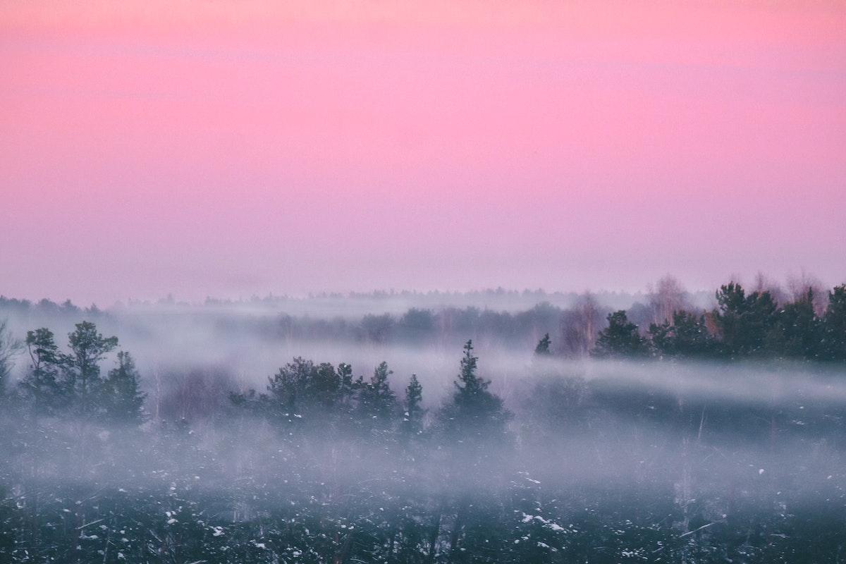 Brouillard : qu'est-ce que c'est et comment il se forme - Info Utiles